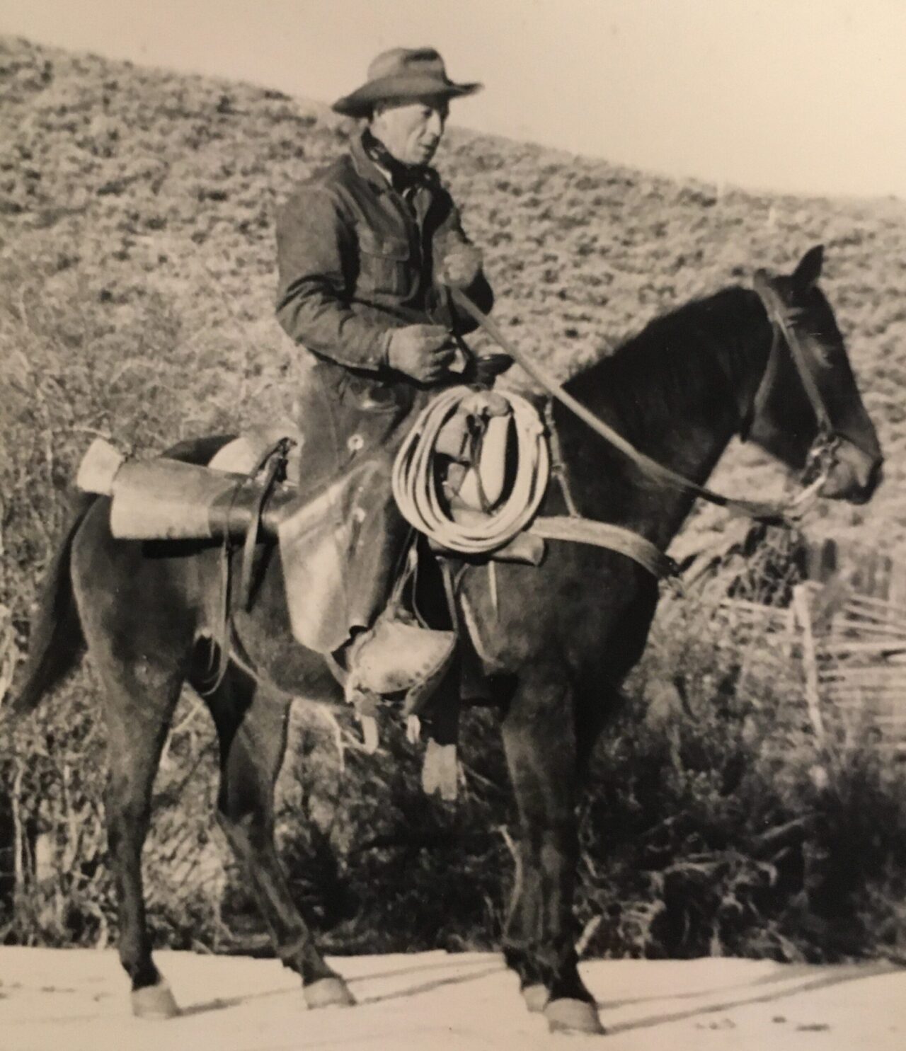 Carl Riley | Wyoming Cowboy Hall of Fame