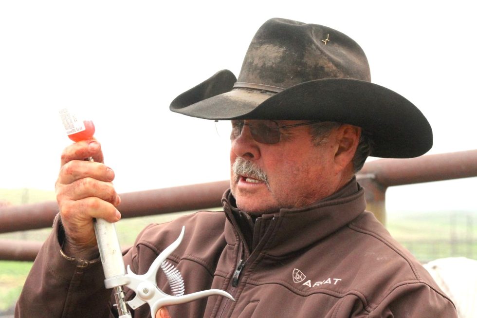 Dave Graham | Wyoming Cowboy Hall of Fame